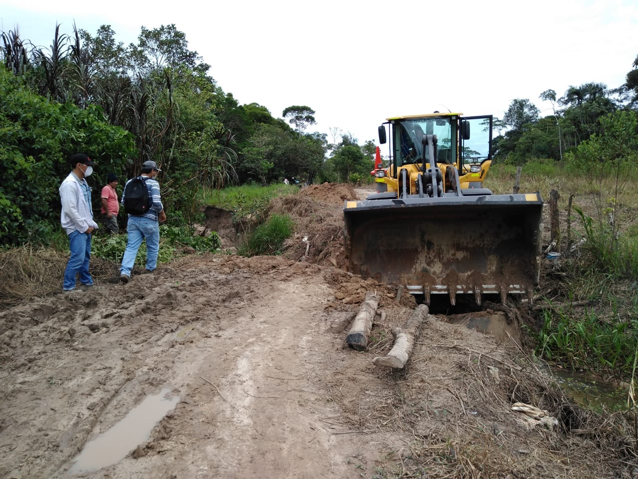 REALIZAN MEJORAMIENTO DE TROCHA CARROZABLE EN LA ZONA DE NUEVO PROGRESO